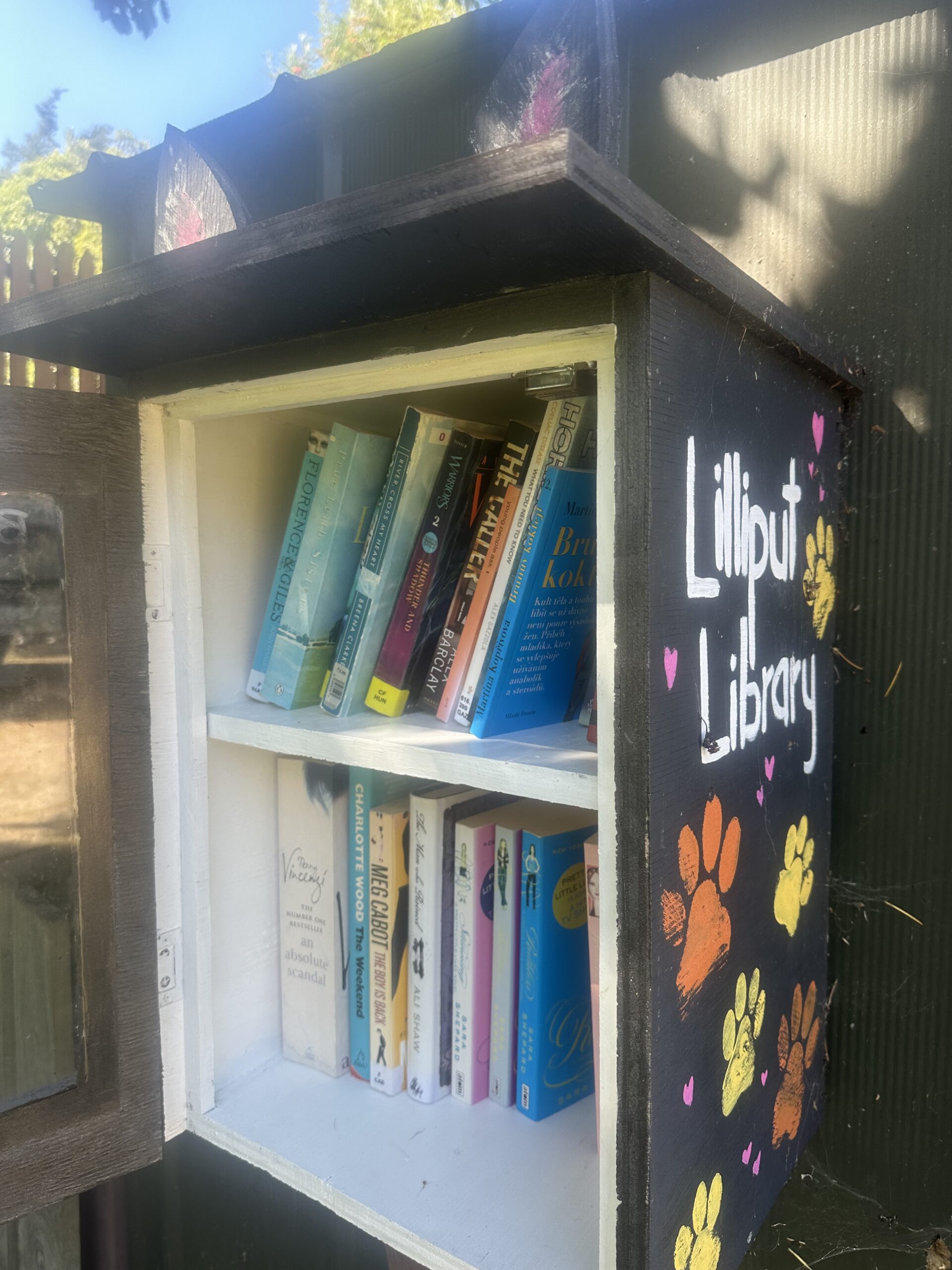 Lilliput Library: Kawarau Falls Park - CATALYST TRUST
